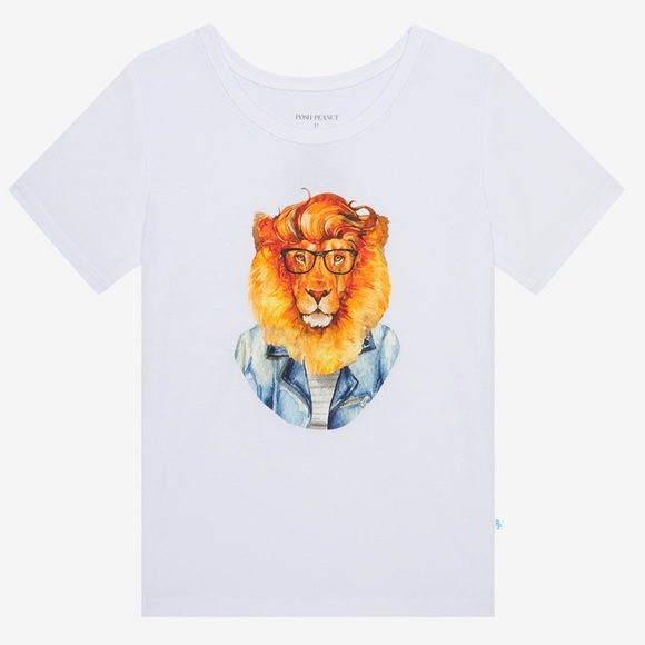 Posh Peanut | Shirts & Tops | Posh Peanut Zane Short Sleeve Loose Fit ...